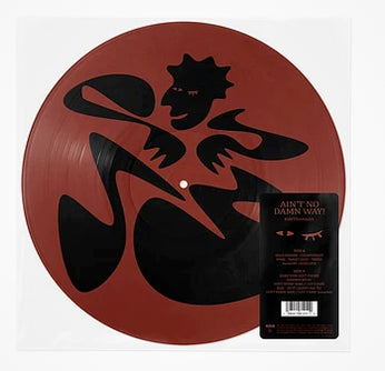 Kaytranada - Ain't No Damn Way! (Picture Disc-NEW) — Dear Vinyl