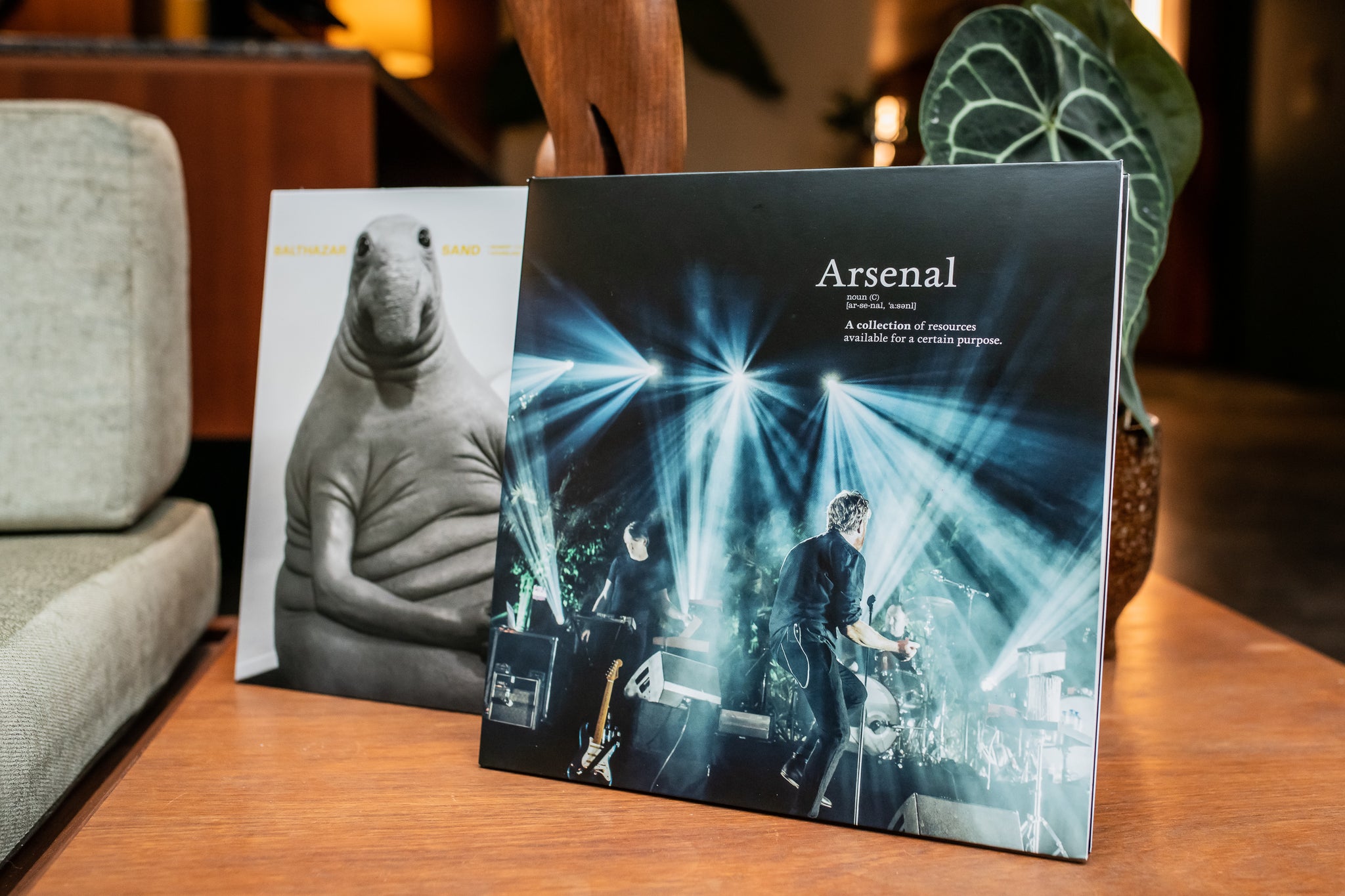 Online Vinyl Platen Kopen bij Dear Vinyl | Breed Assortiment LP's