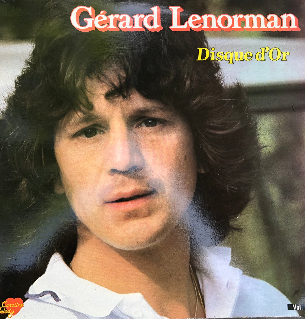 Gérard Lenorman - Disque d'or Vol.2 — Dear Vinyl